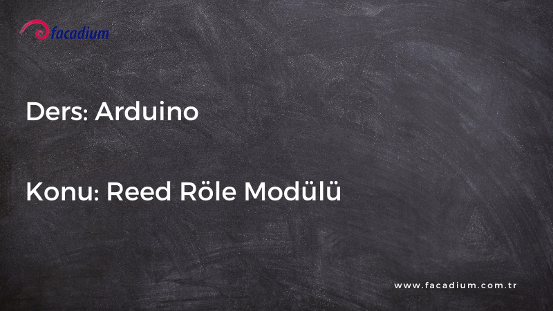 Reed Röle Modülü - Facadium